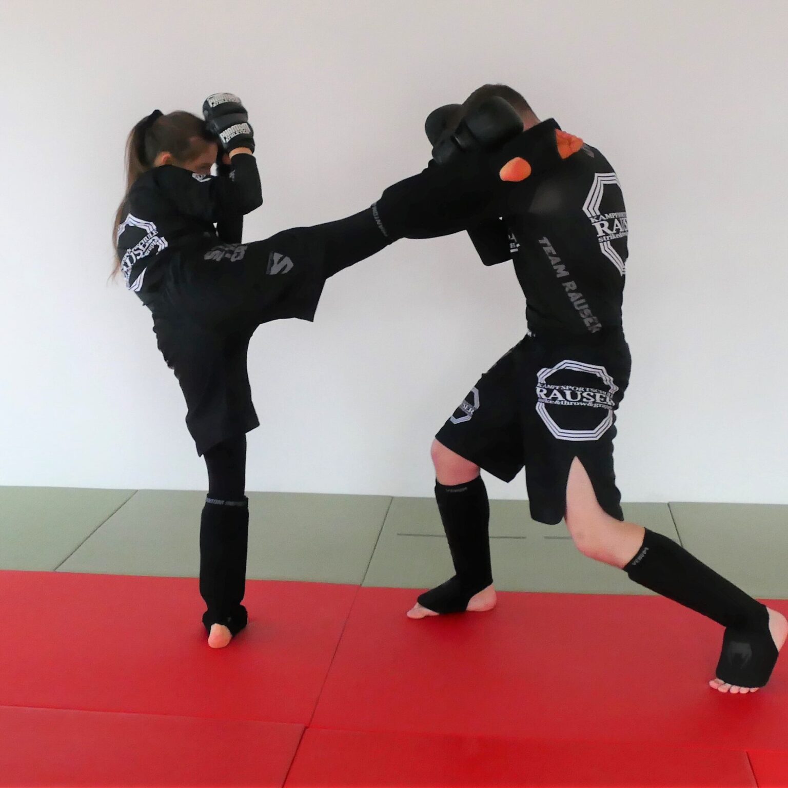 Sparring trainieren-lernen-lehren | Das Fachbuch